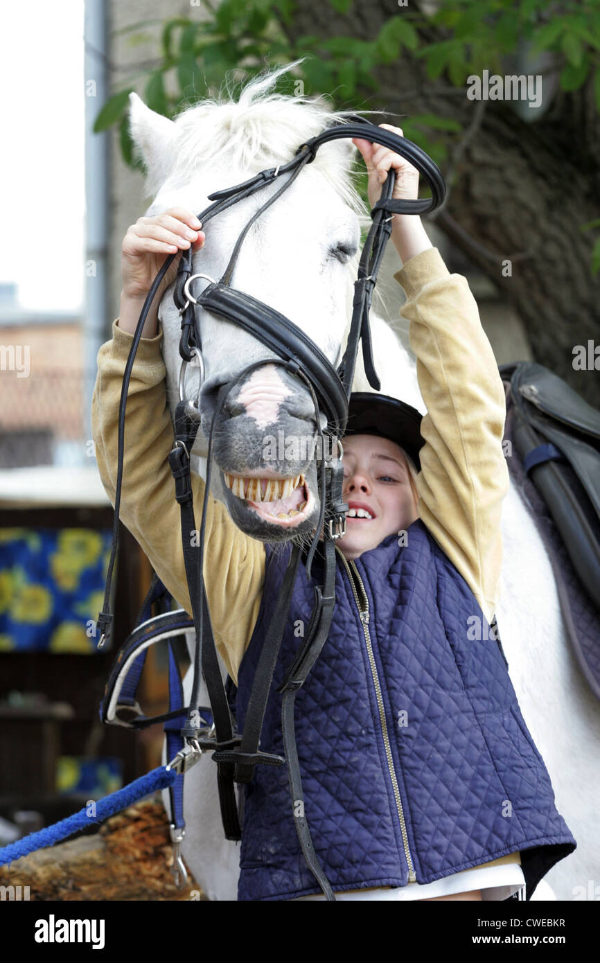 Cart before the horse hi-res stock photography and images - Alamy