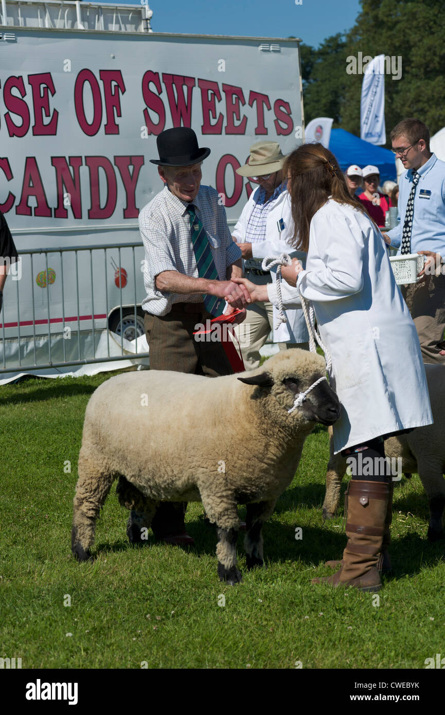 New Forest County Show Hampshire UK sheep the best in breed competition ...