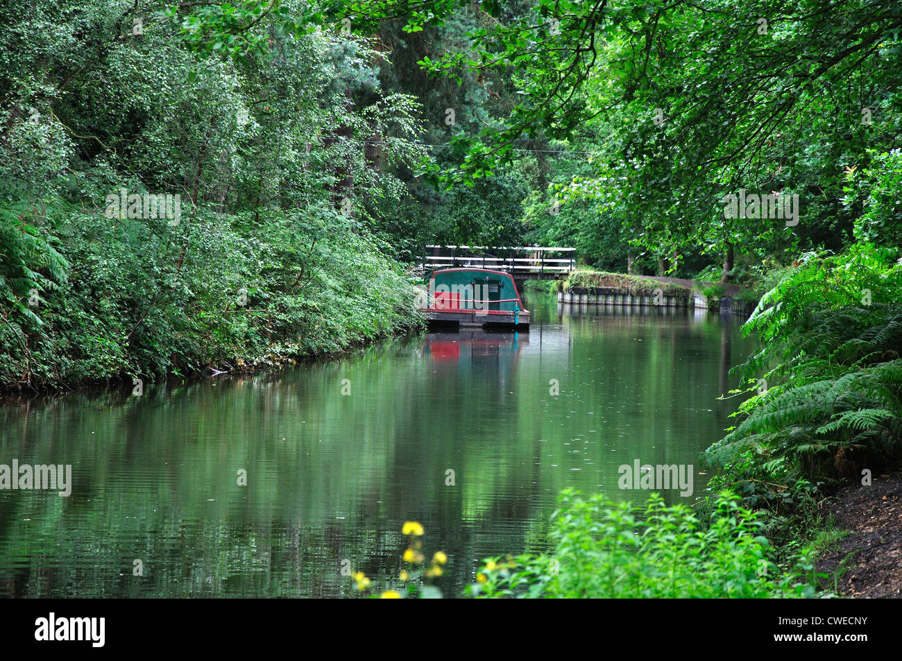 A view of the Basingstoke canal UK Stock Photo - Alamy