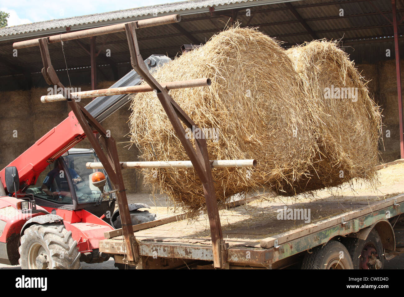 Bails of hay Stock Photo - Alamy