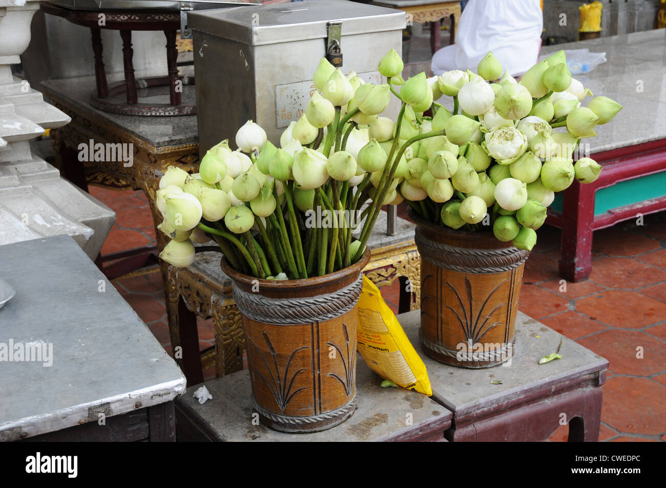 Lotus flowers in earthenware pots outside prayer hall, Wat Suthat ...