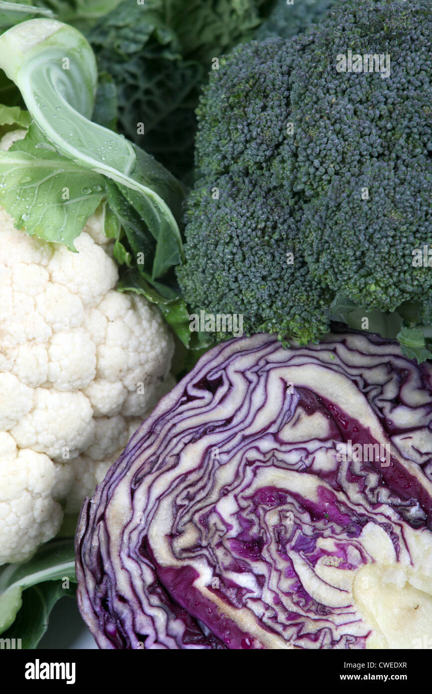 Types of cabbage hi-res stock photography and images - Alamy