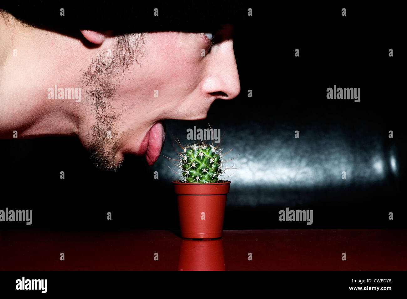 Thorn Beard High Resolution Stock Photography and Images - Alamy