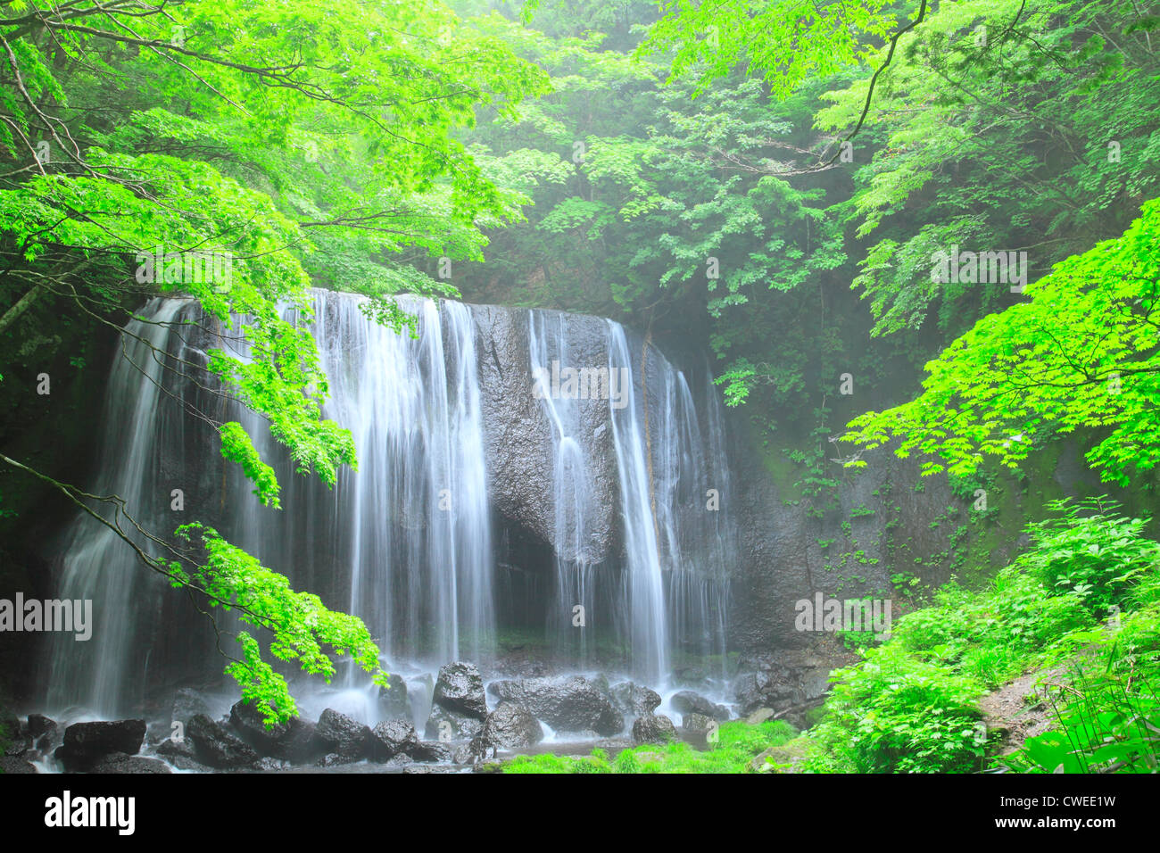 Waterfalls In Lush Forest Stock Photo - Alamy