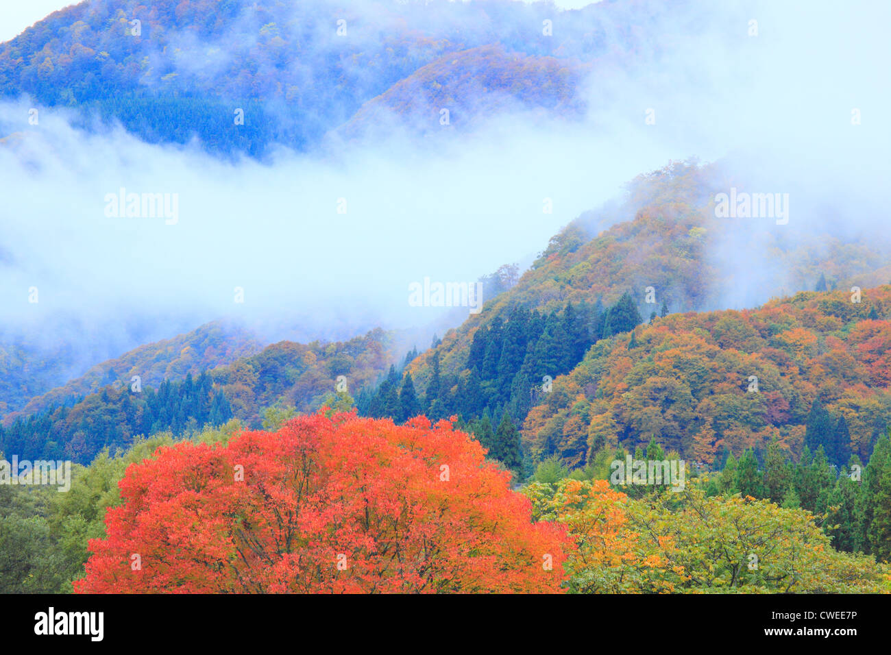 Rising red fog hi-res stock photography and images - Alamy