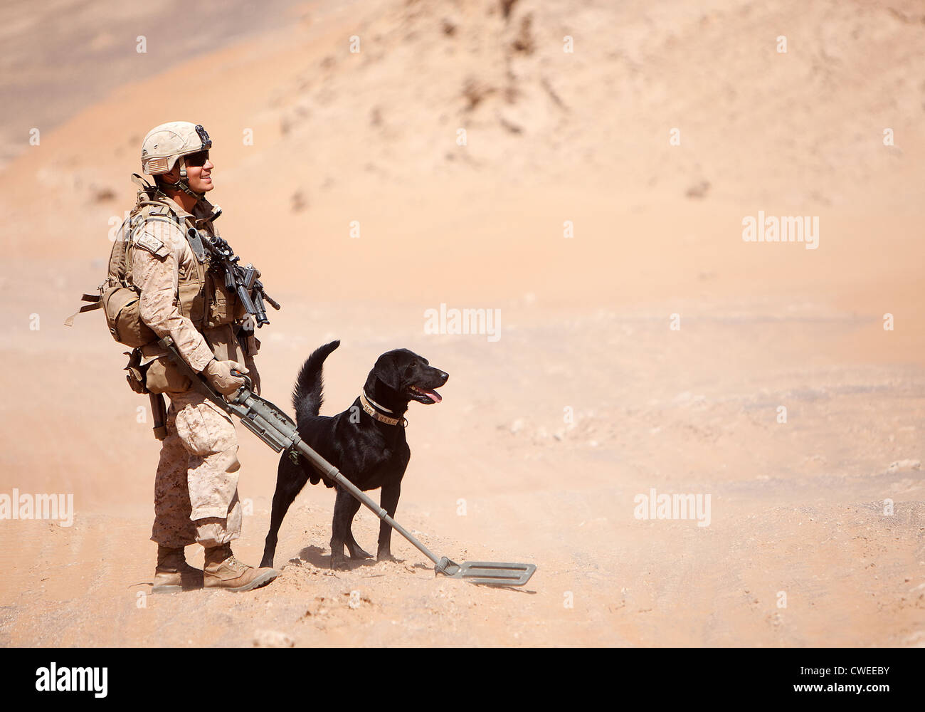 A US Marine dog handler and Ace, an improvised explosive device ...