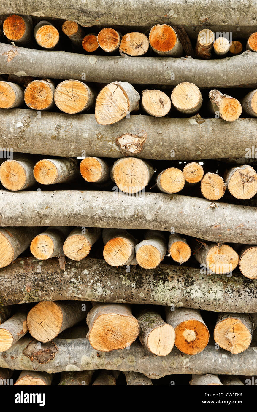 Cut stacked logs in vrata hi-res stock photography and images - Alamy