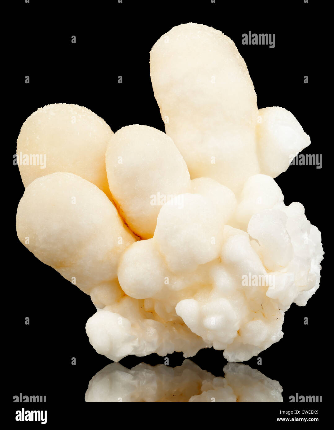 Aragonite hi-res stock photography and images - Alamy