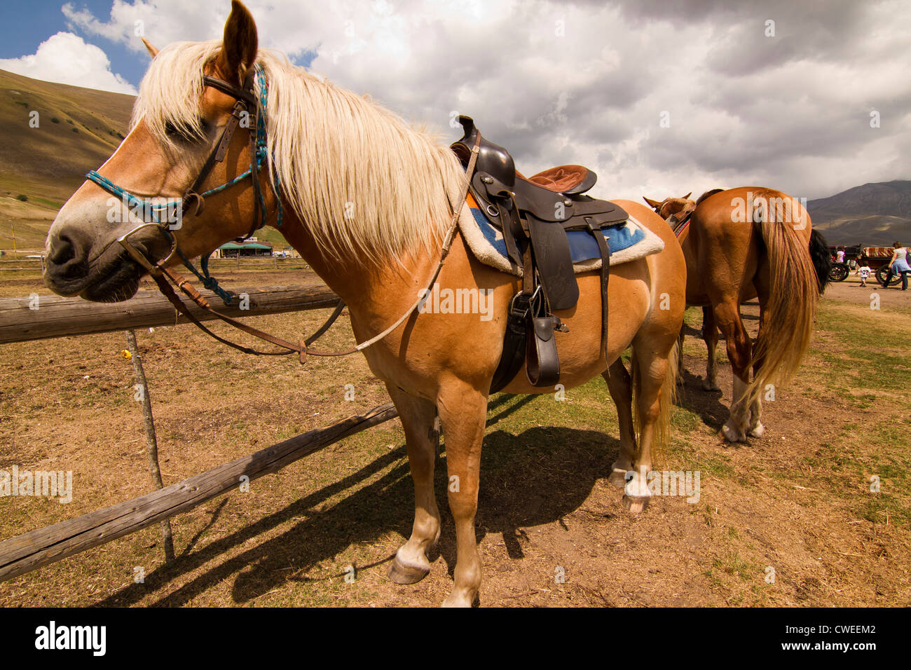 riding stables in Castelluccio Italy Stock Photo - Alamy