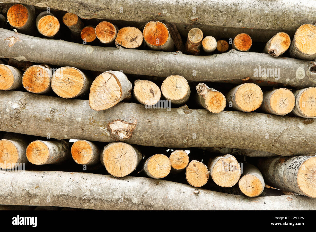 Cut stacked logs in vrata hi-res stock photography and images - Alamy