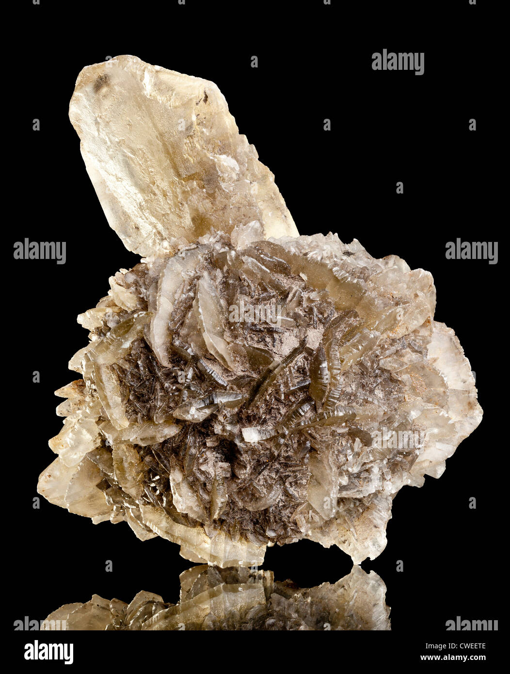 Desert rose gypsum hi-res stock photography and images - Alamy