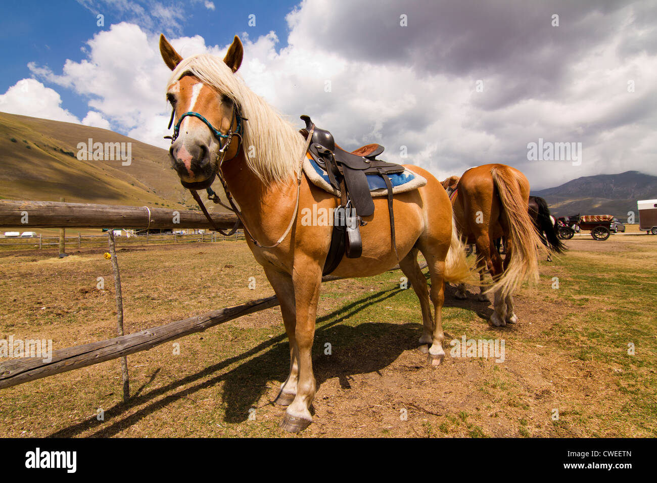 Riding stables hi-res stock photography and images - Alamy