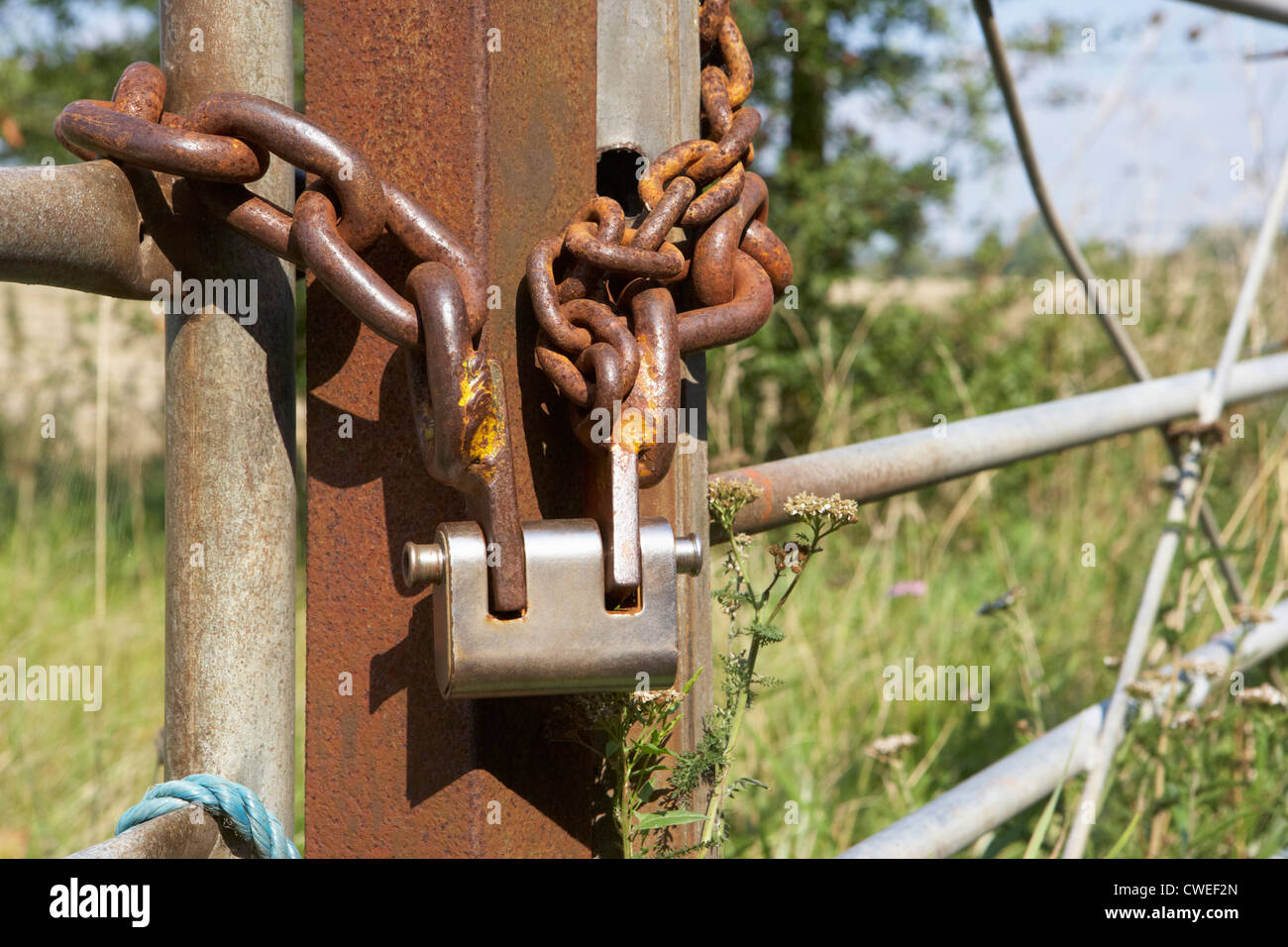 Chain and padlock Stock Photo - Alamy