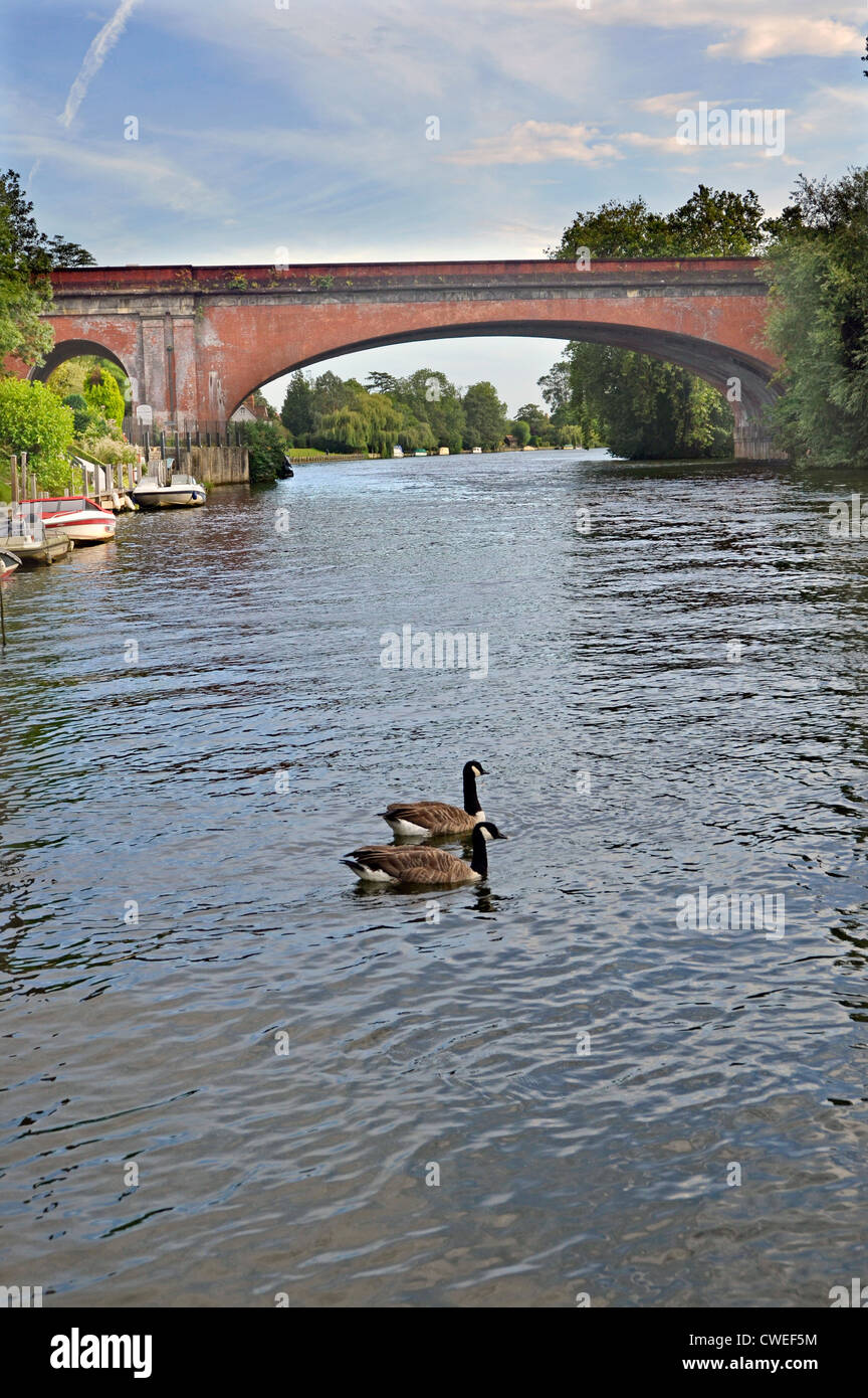 Maidenhead railway bridge hi-res stock photography and images - Alamy