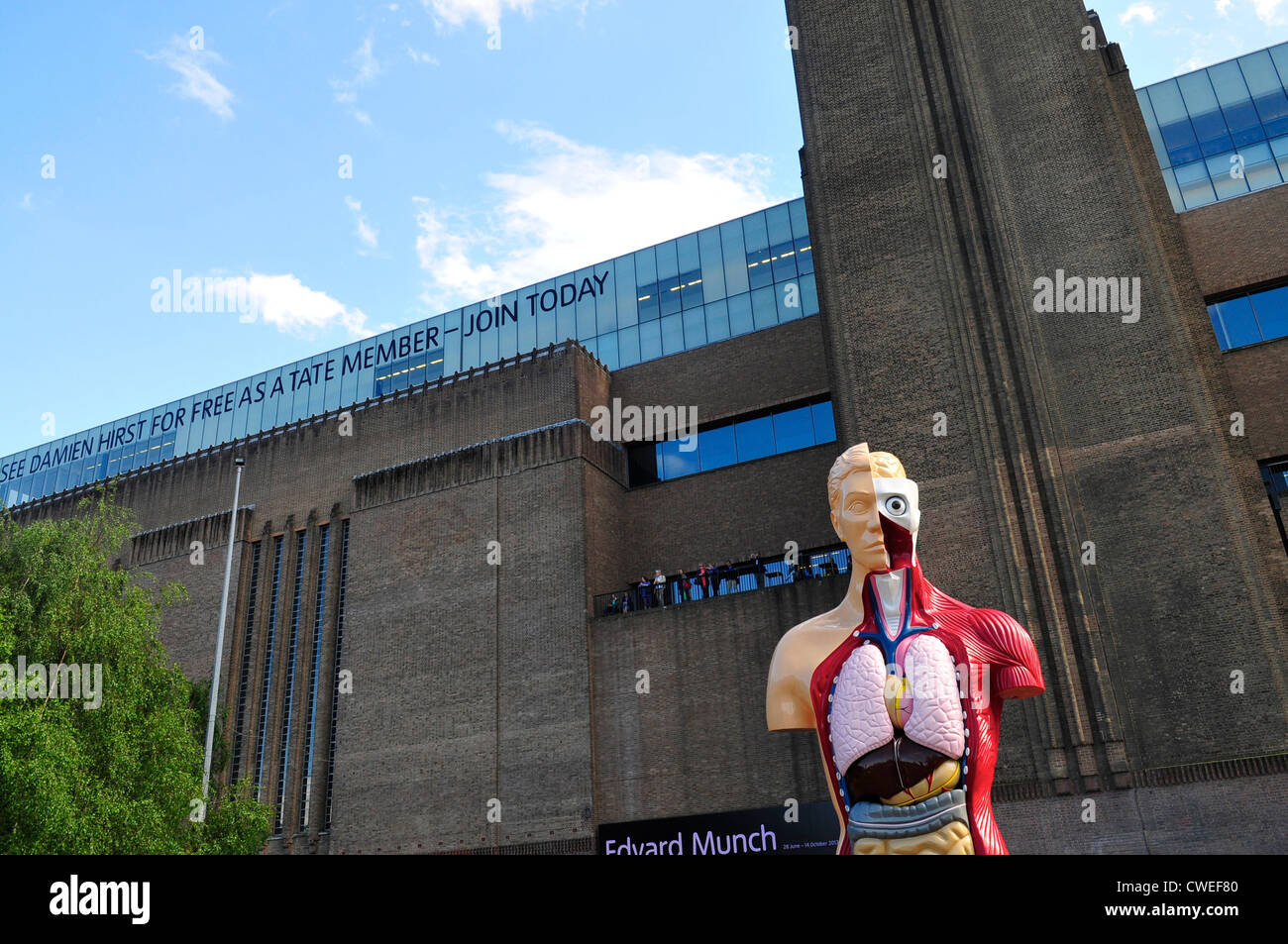 Human Body Model Outside the Tate Modern, Southbank, London Stock Photo ...