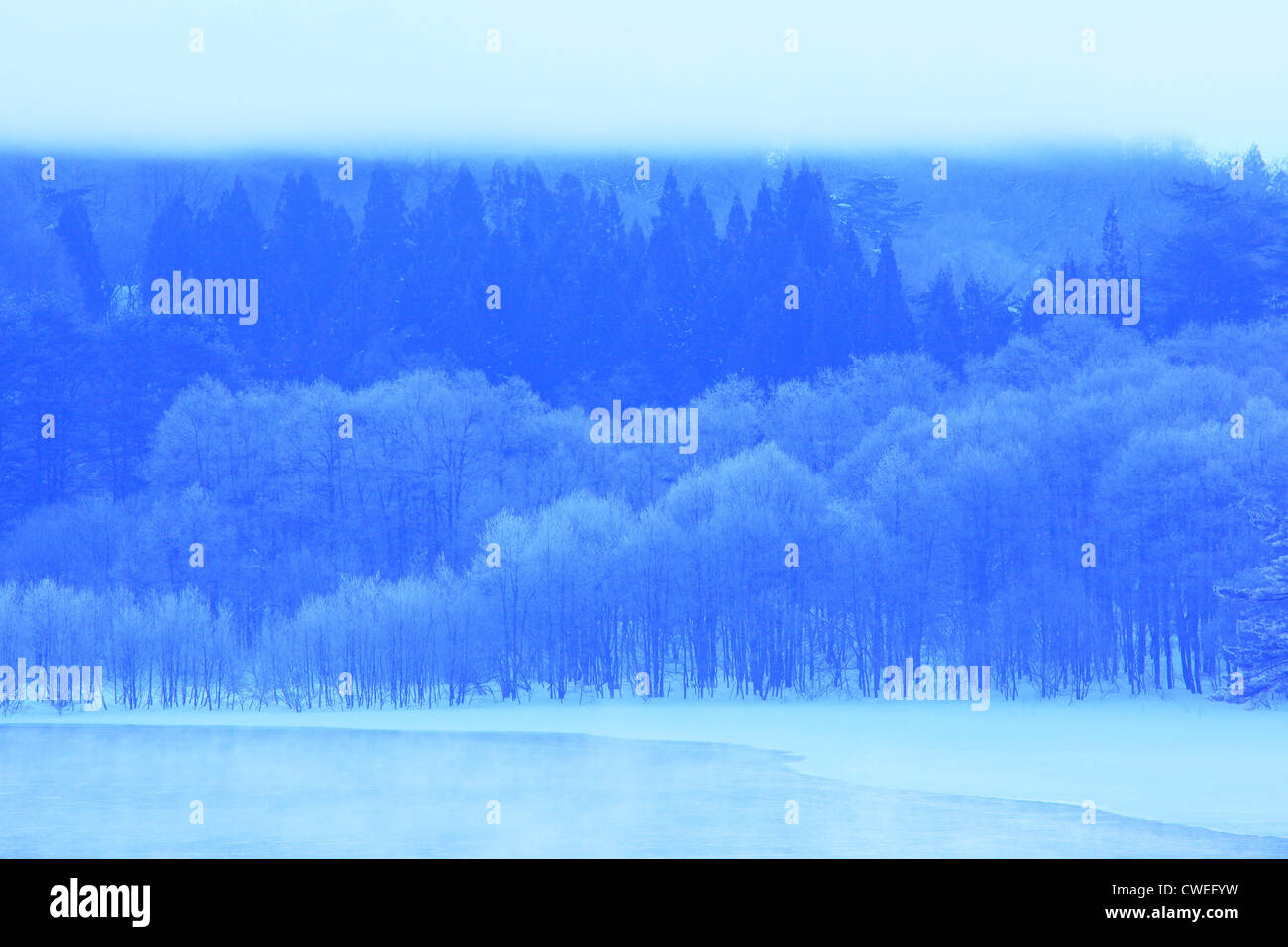 Beautiful woodland from above majestic hi-res stock photography and ...
