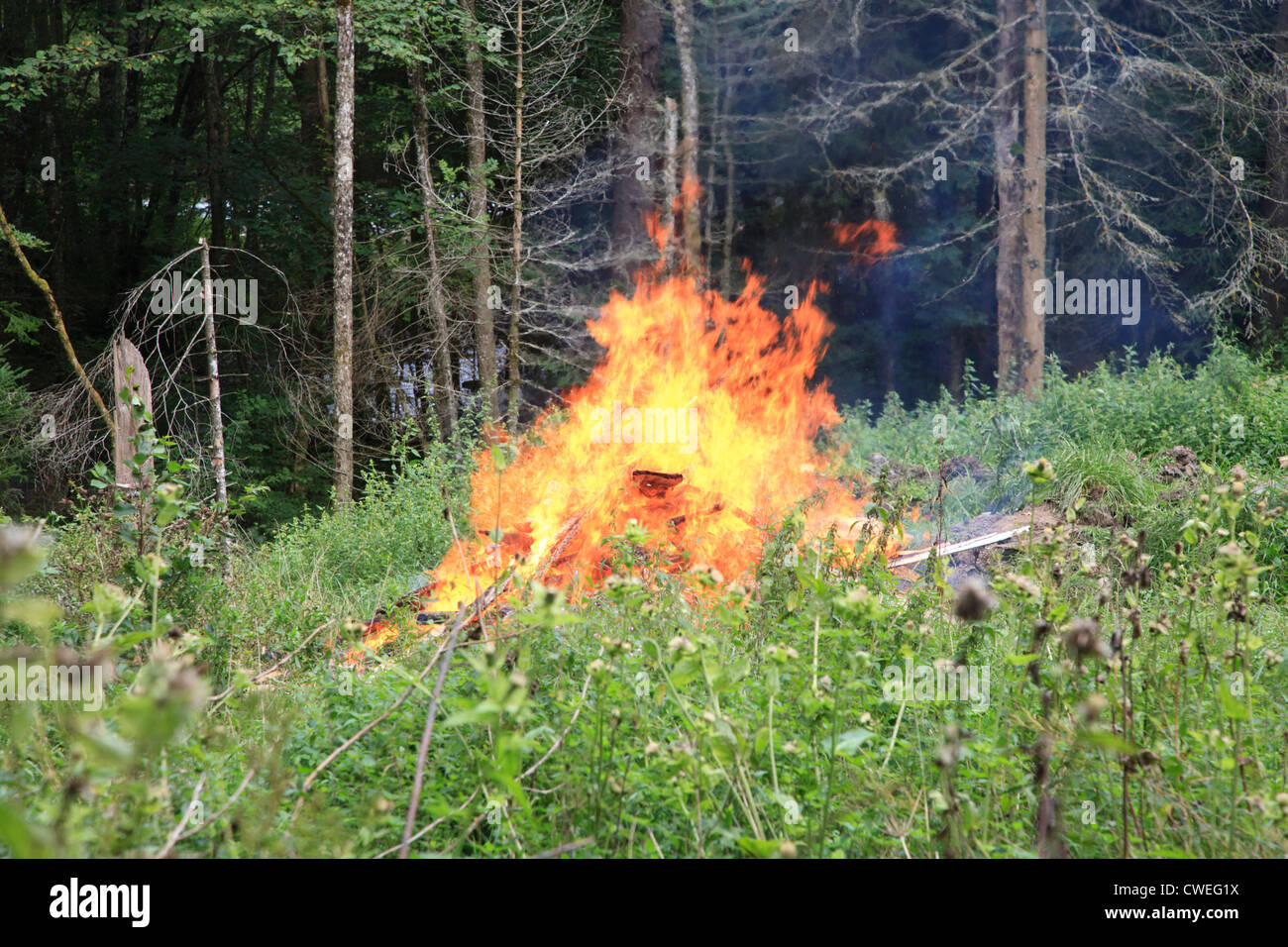 Bonfire amongst trees Stock Photo - Alamy