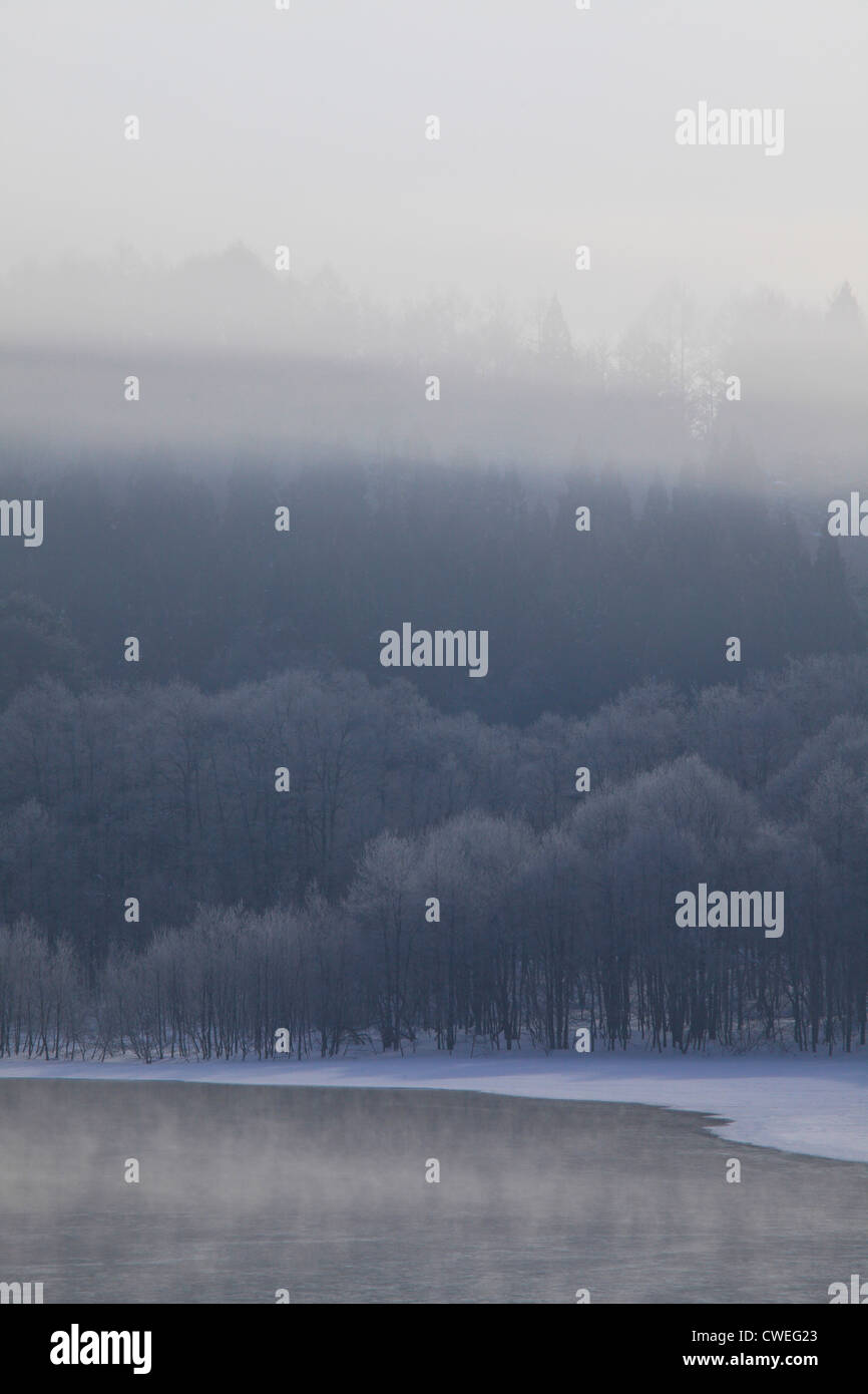 Foggy trees hi-res stock photography and images - Alamy