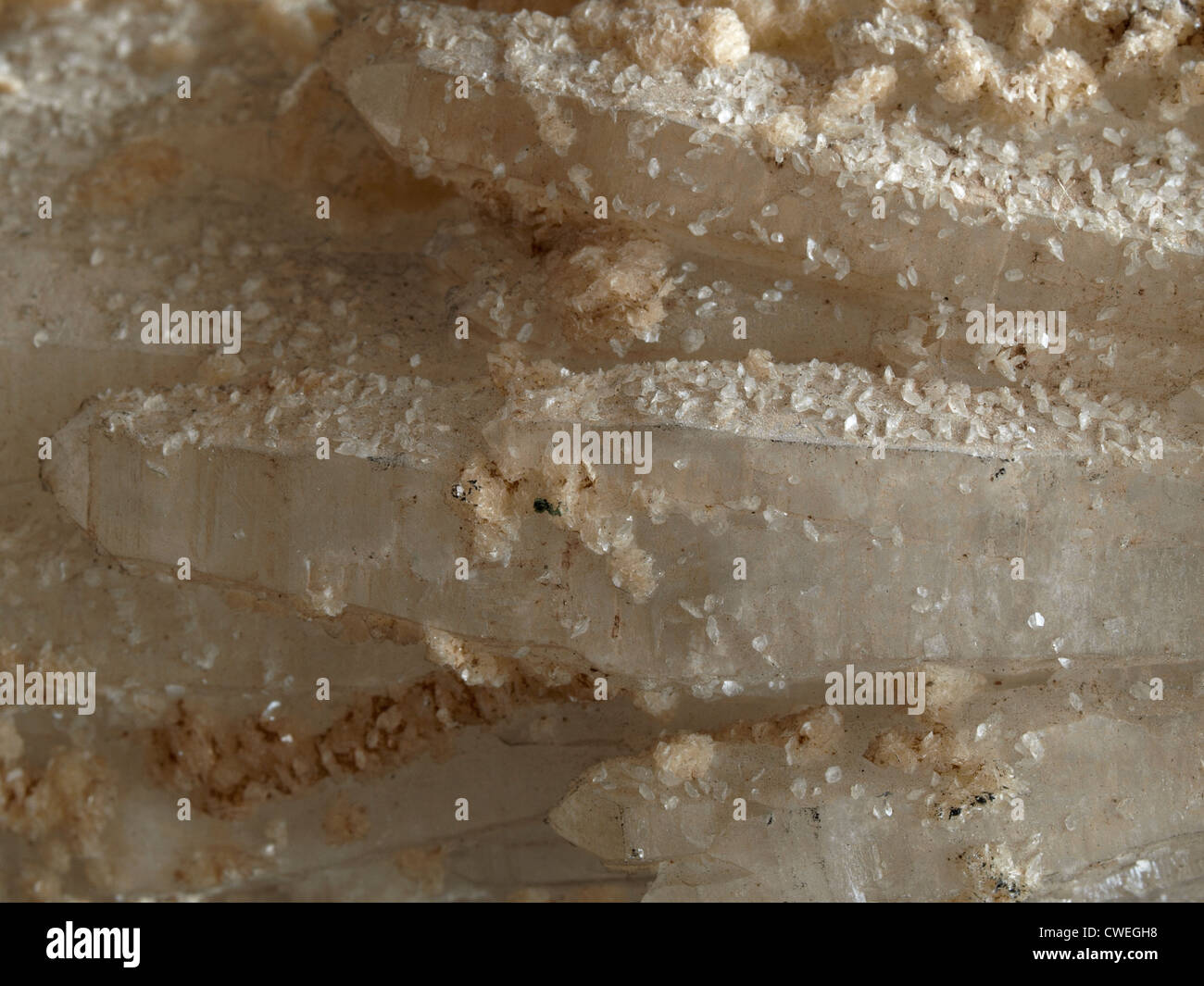 Quartz; Minas Gerais, Brazil. Photograph covers an area of about 35 by ...