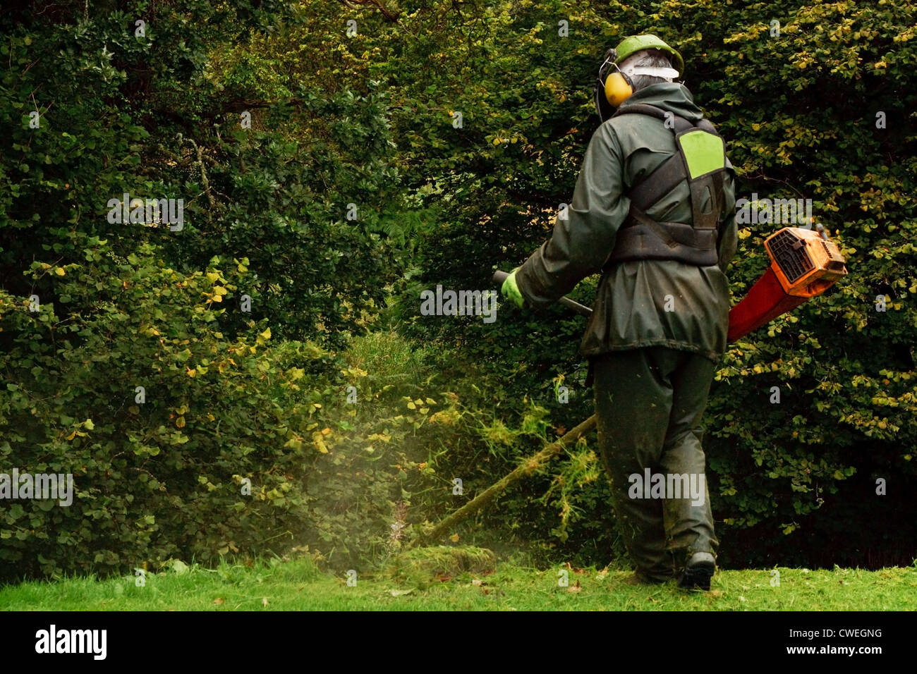 An agricultural worker trimming the brush with a petrol strimmer Stock ...
