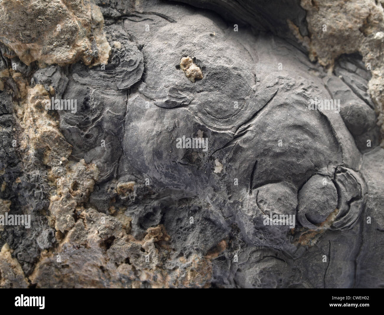 Arsenic mineral hi-res stock photography and images - Alamy