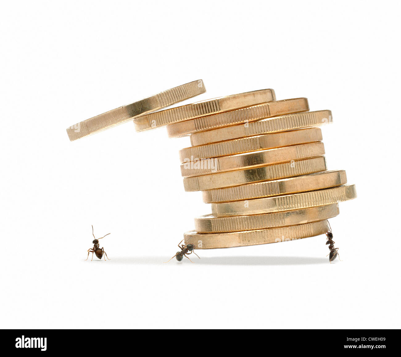 Ants carry Cut Out Stock Images & Pictures - Alamy