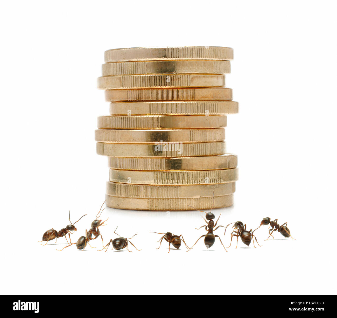 He looked Cut Out Stock Images & Pictures - Alamy