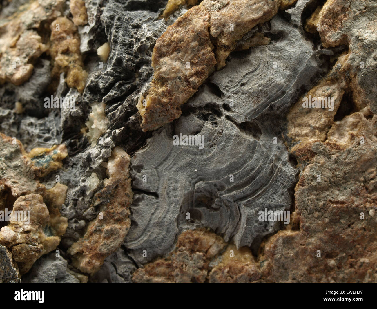 Arsenic mineral hi-res stock photography and images - Alamy
