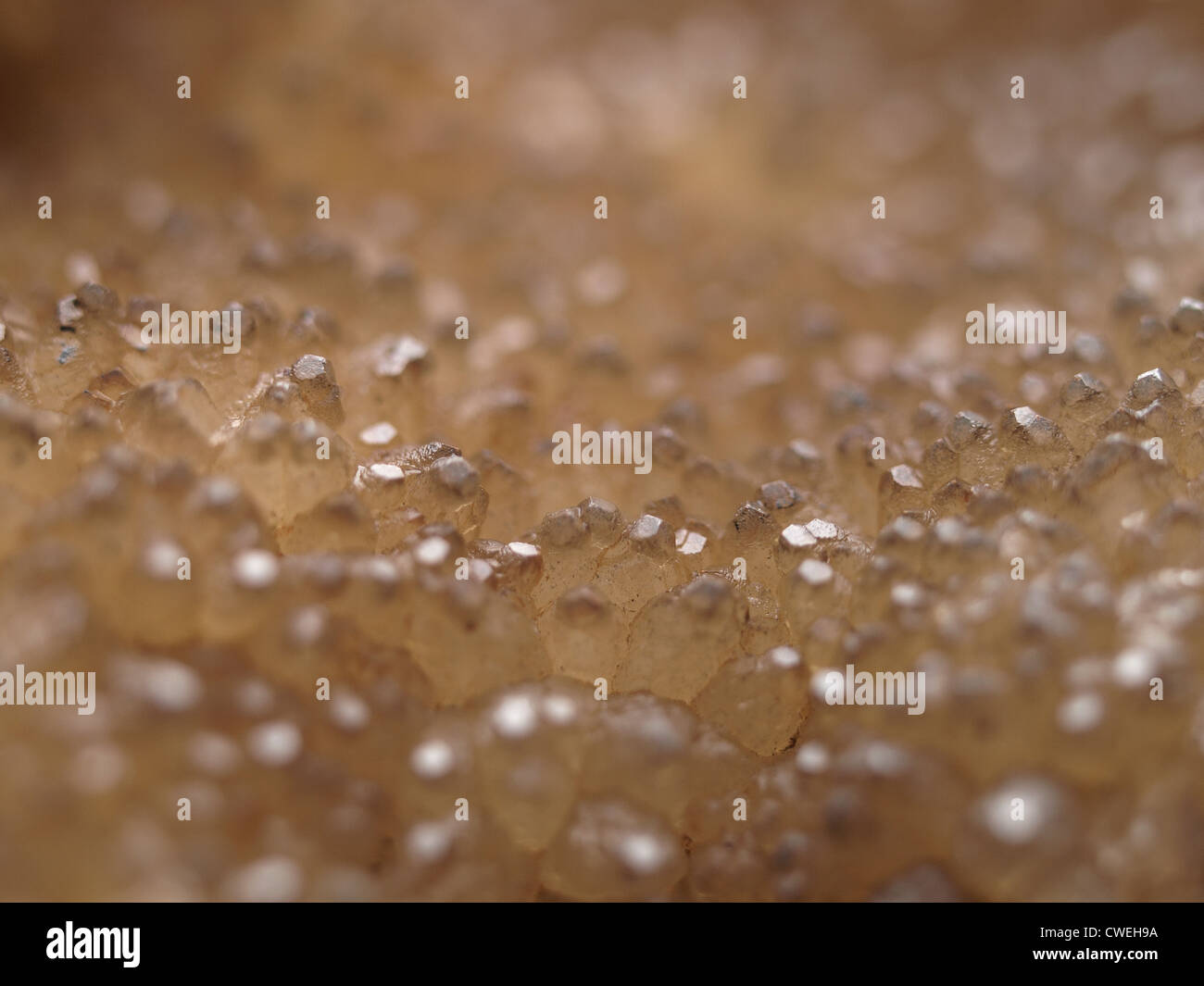 Rogaska crystal hi-res stock photography and images - Alamy