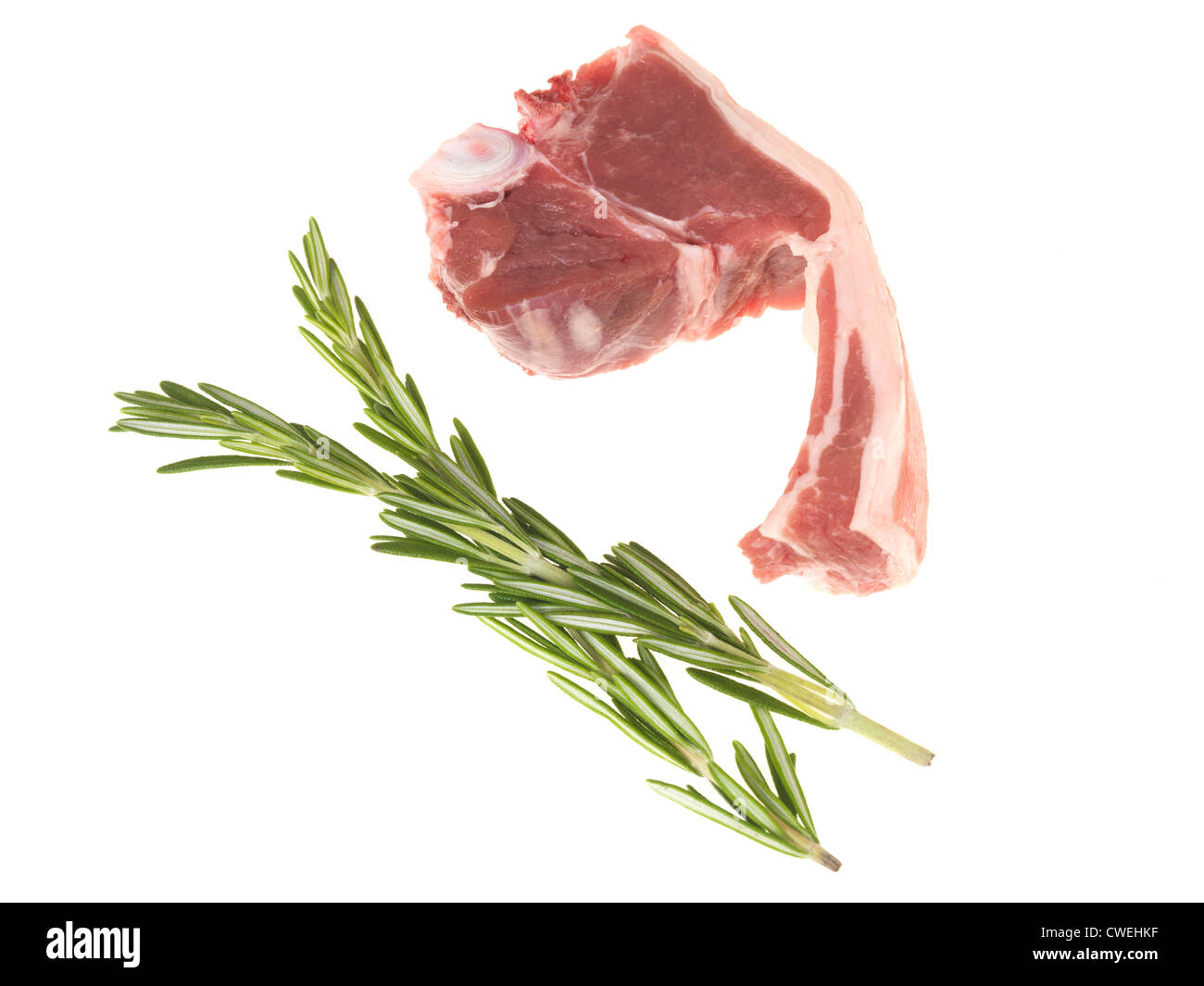 Lamb chops cutout hi-res stock photography and images - Alamy