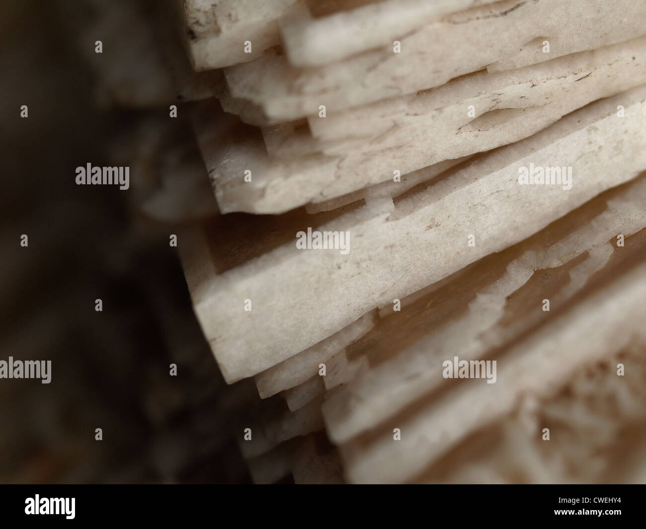 Barite detail; Zletovo, Macedonia Stock Photo - Alamy