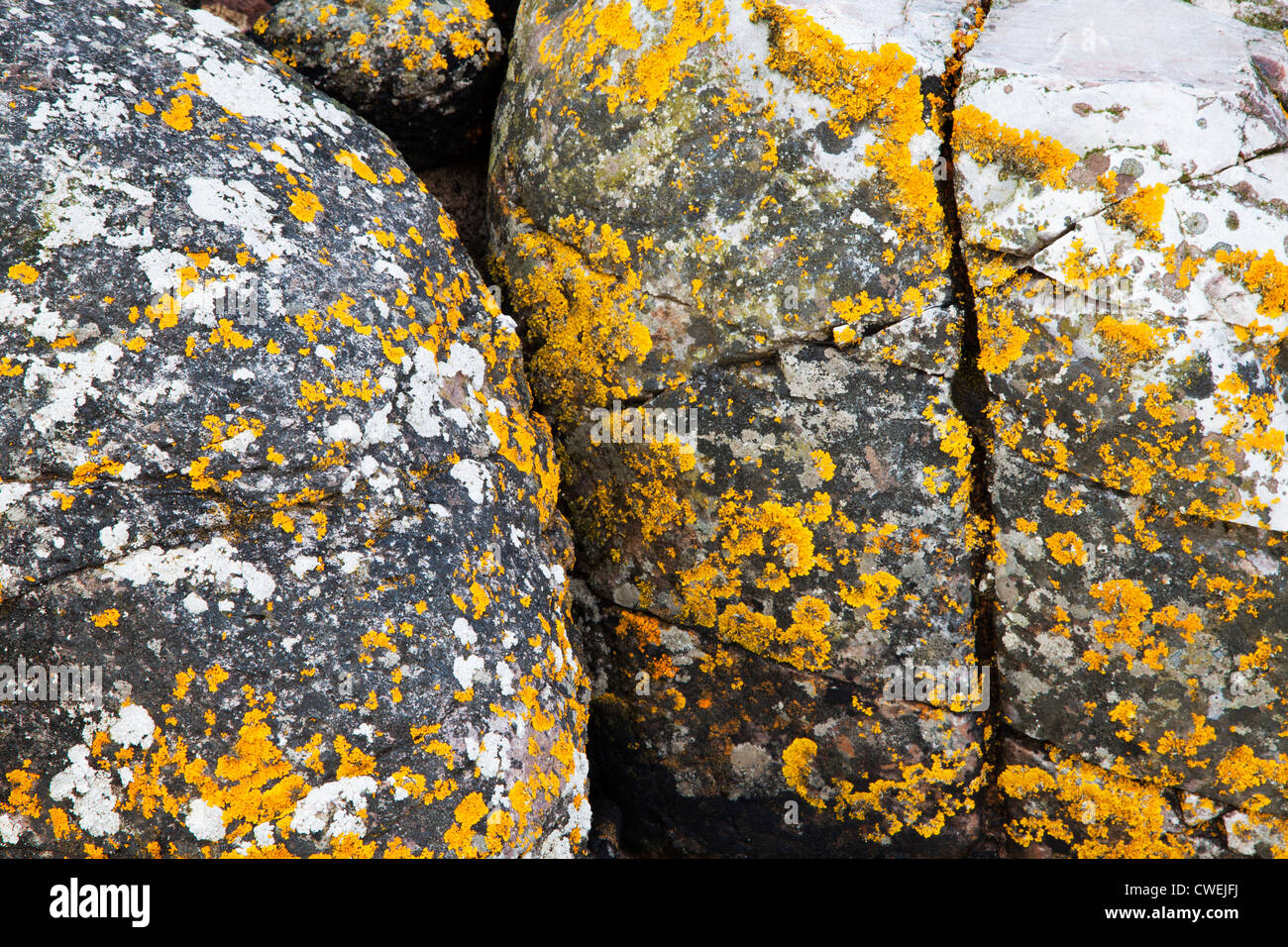 Catterline scotland hi-res stock photography and images - Alamy