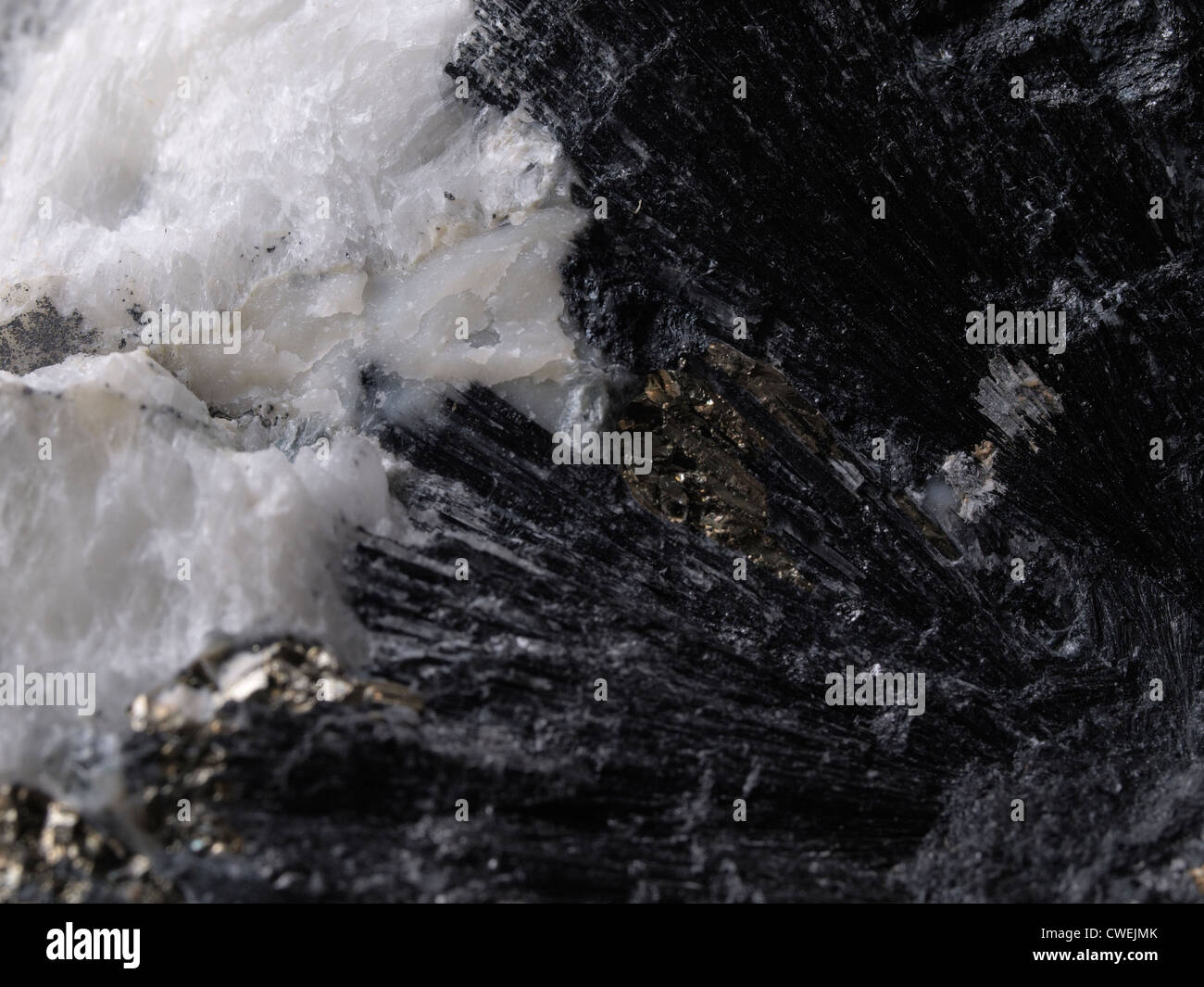 Ludwigite High Resolution Stock Photography and Images - Alamy