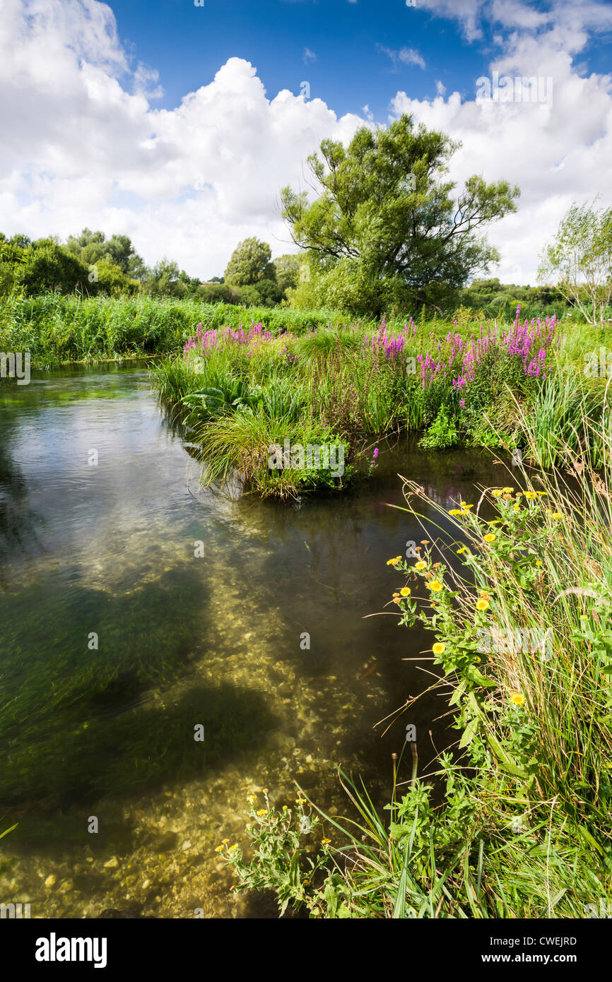 River meander uk hi-res stock photography and images - Alamy