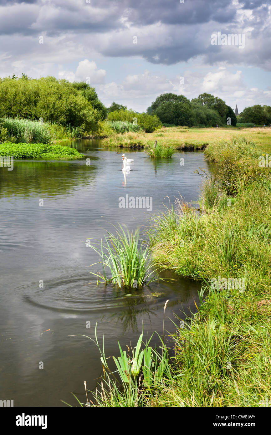 The River Test at Stockbridge, Hampshire - England Stock Photo - Alamy