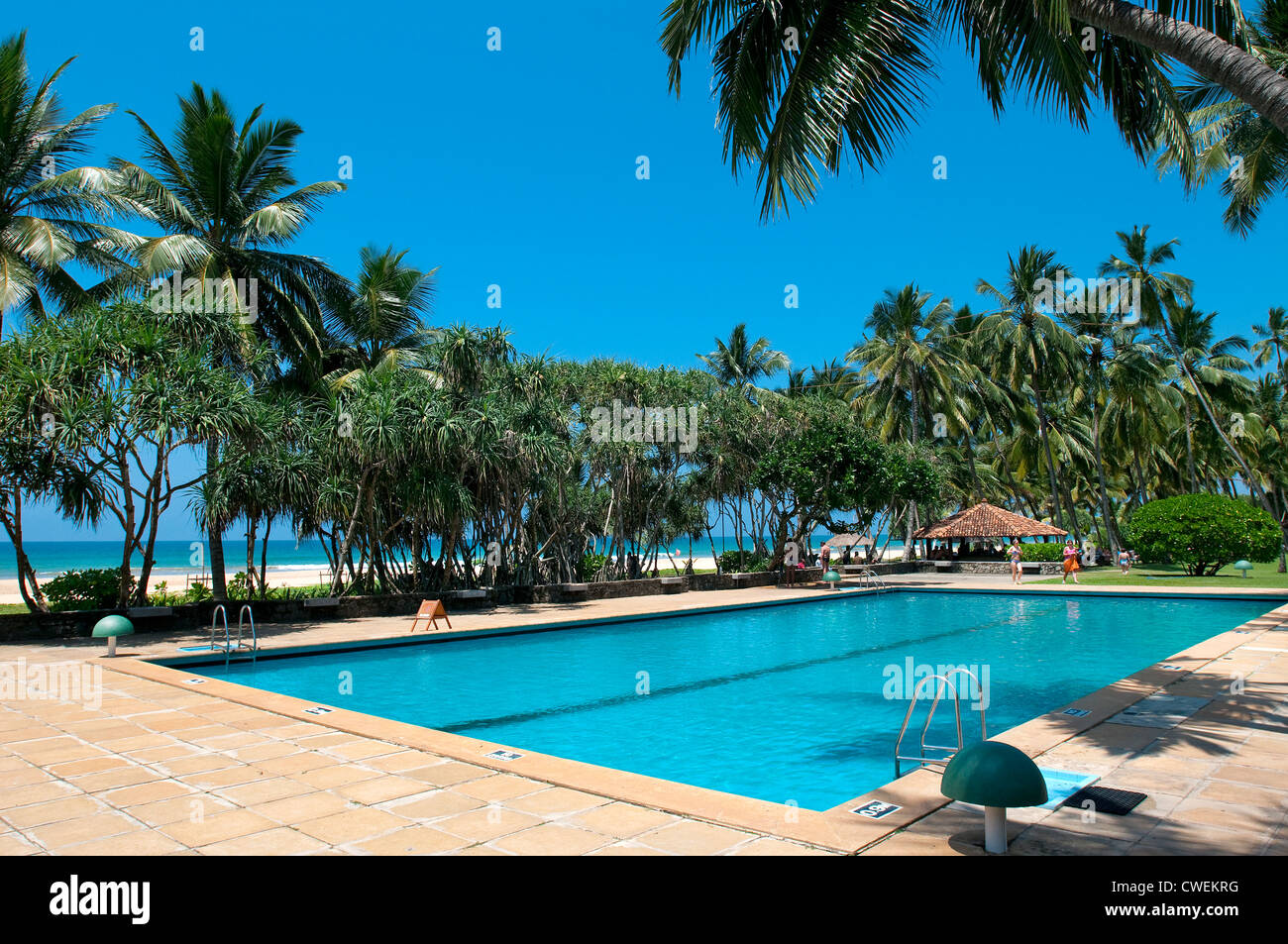 Serendib Hotel Swimming Pool, Bentota, Sri Lanka Stock Photo - Alamy