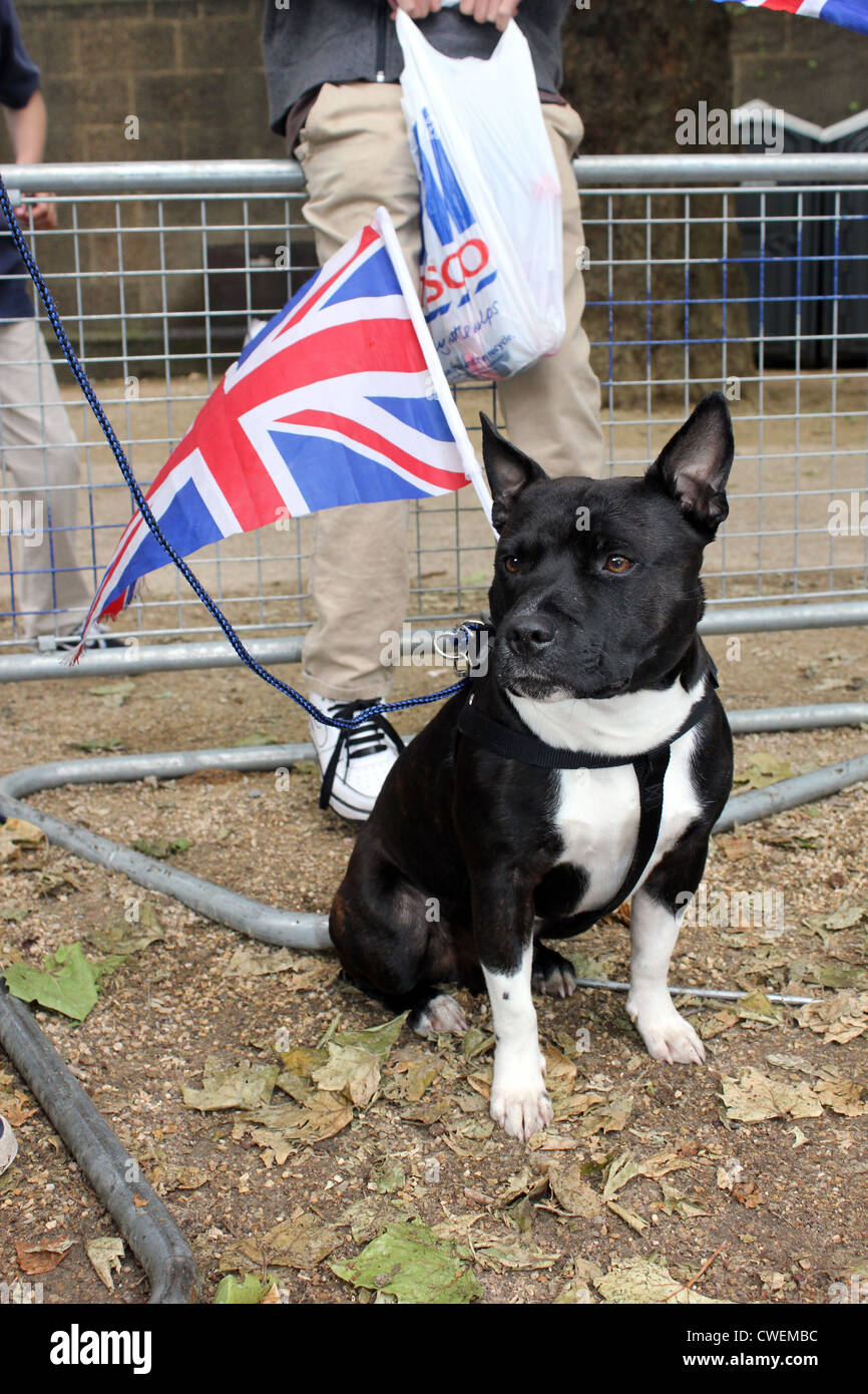 Dog wearing union jack flag. Celebrations at the Queen's Diamond ...