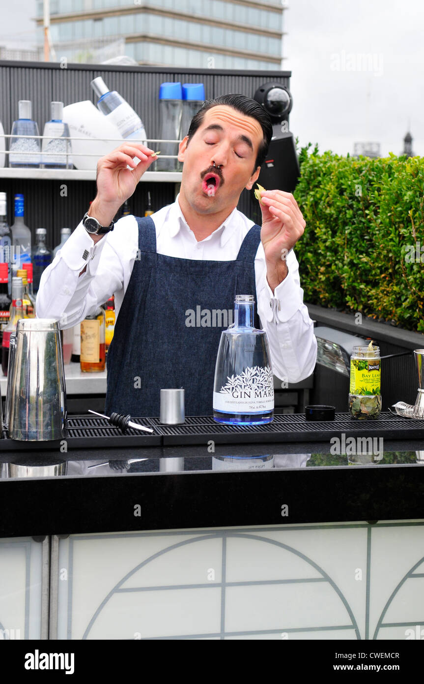 Barman at the Vista Bar at The Trafalgar Hotel, Trafalgar Square ...