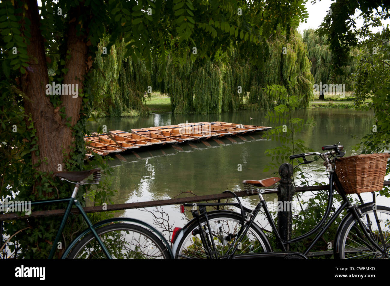Cambridge England,UK. Punts and Punting along The Backs of the River ...