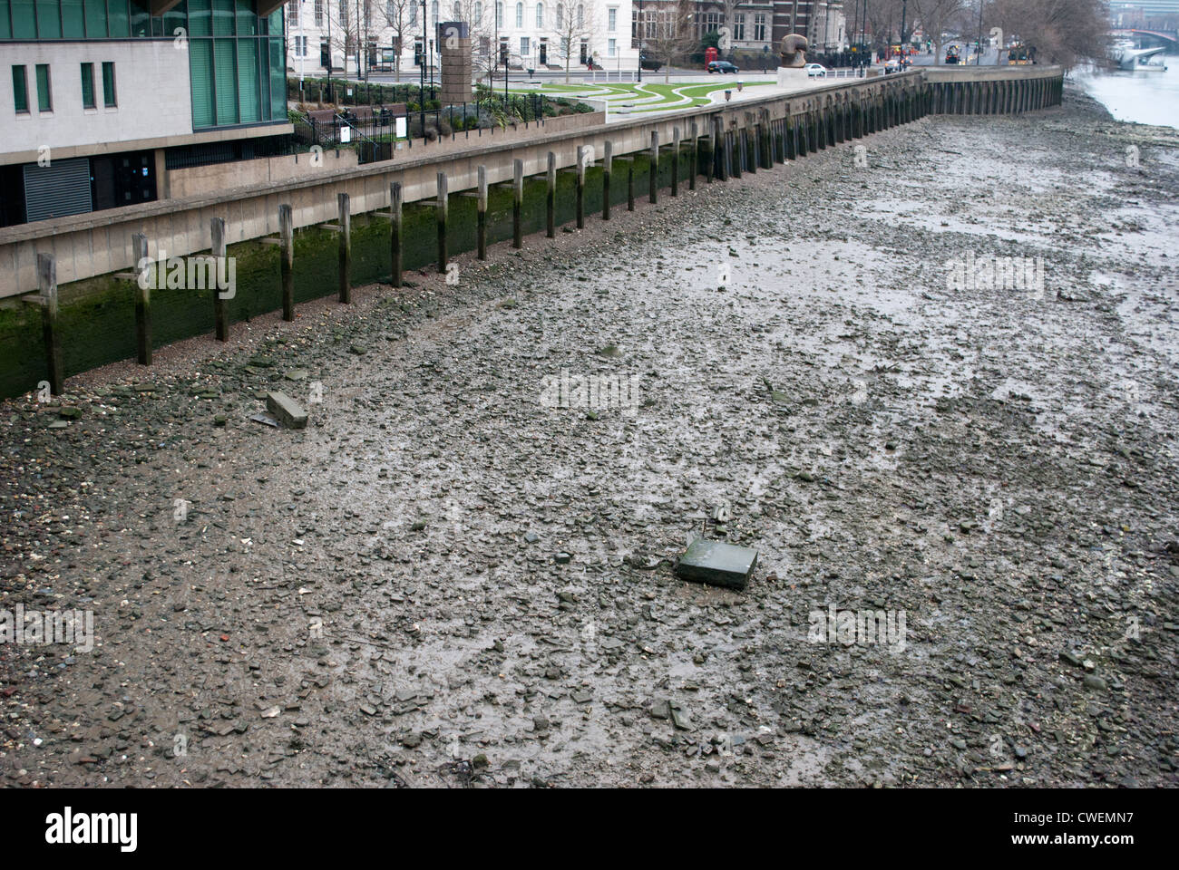 Mud bank on the Thames at next to Riverwalk House at Millbank from ...