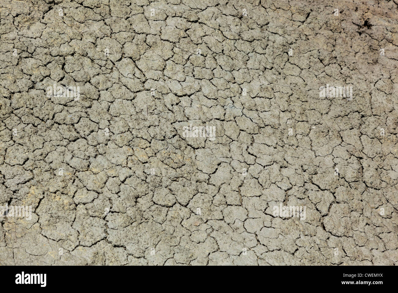 Dried river stream bed hi-res stock photography and images - Alamy