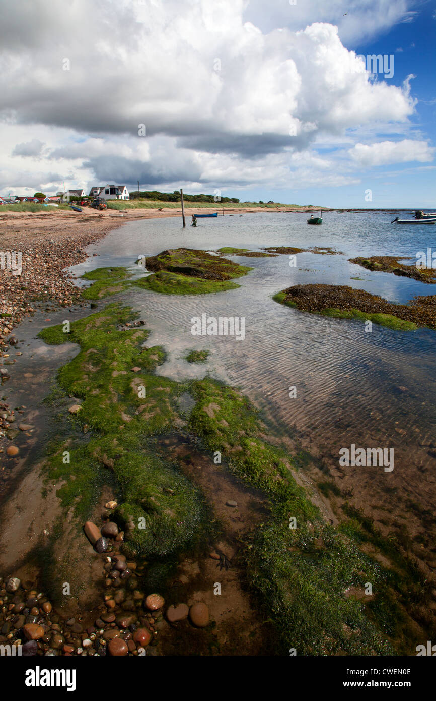 Carnoustie hi-res stock photography and images - Alamy