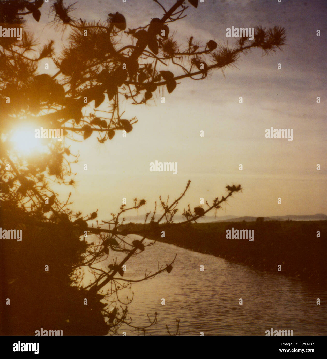 A park at sunset Stock Photo - Alamy