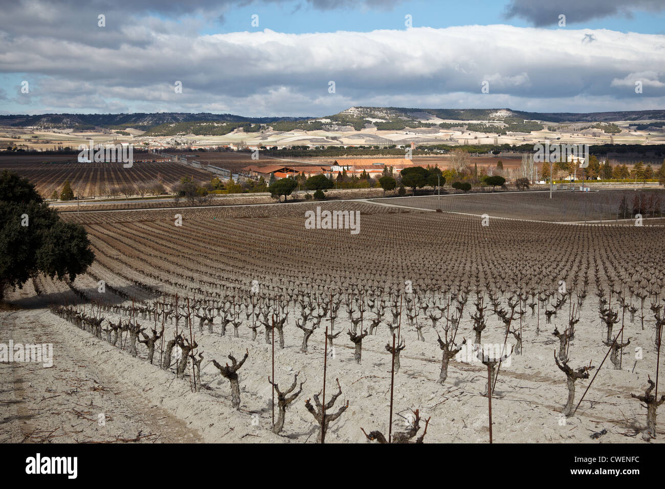 Vega sicilia winery hi-res stock photography and images - Alamy