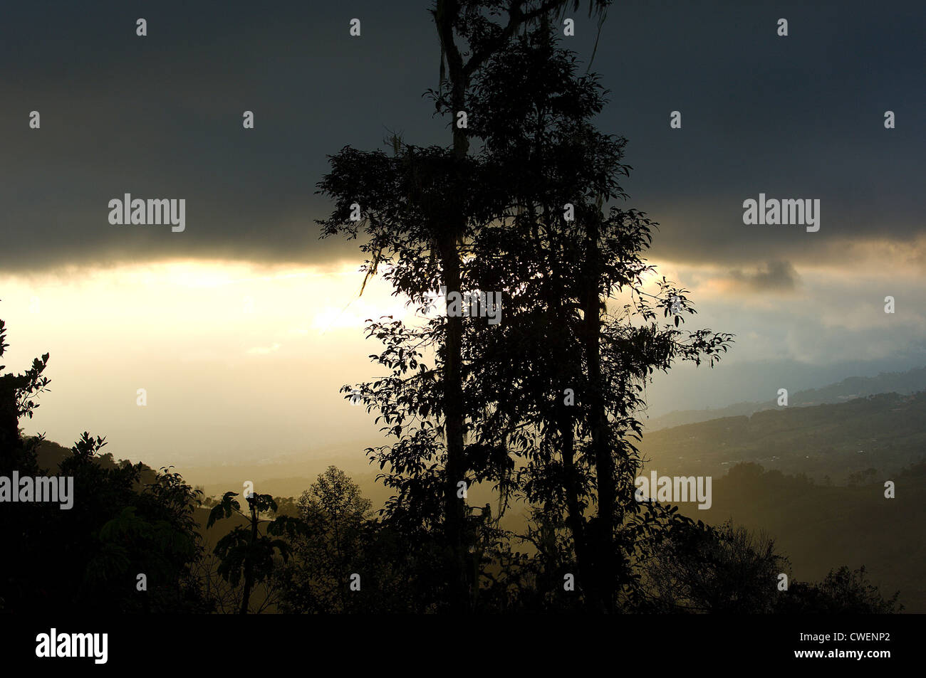 Chirripo National Park offers beautiful scenery, lush greenery, primary ...