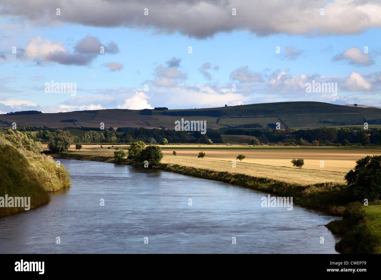 Evening Sunlight of Fields by the River Tweed from Henderson Park ...