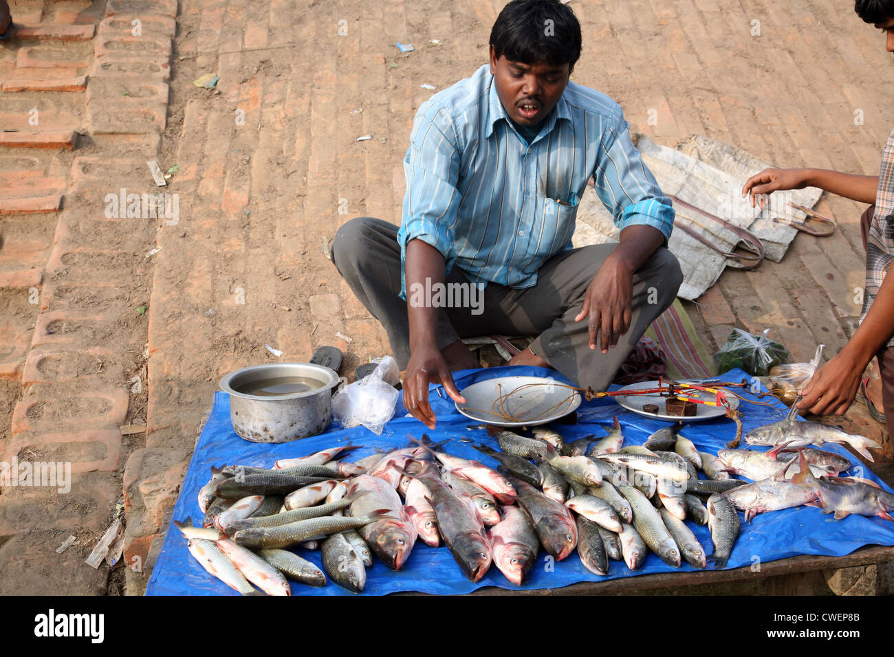 Selling a fish on fish market in Canning, West Bengal, India on January ...