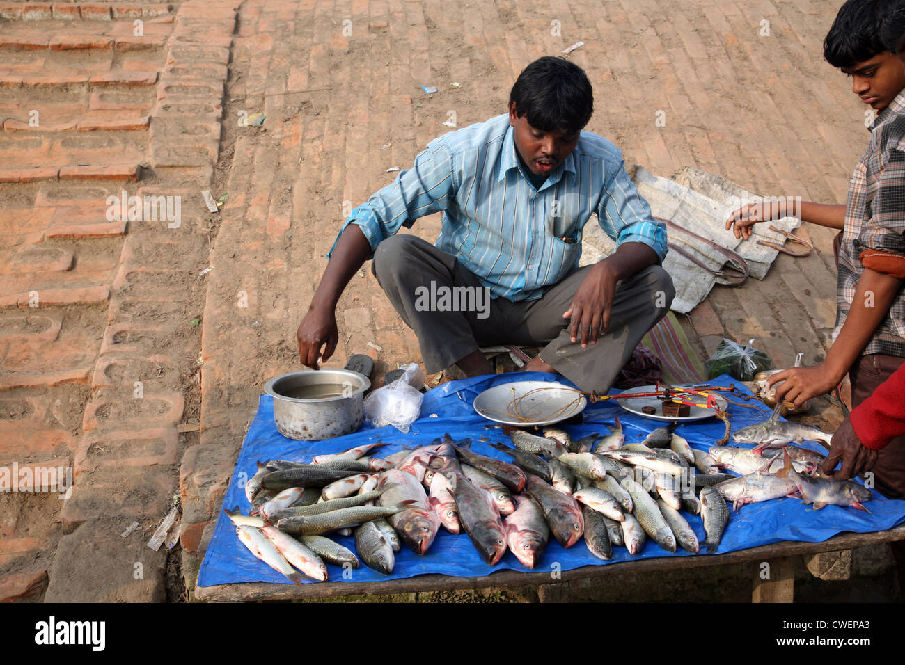 Selling a fish on fish market in Canning, West Bengal, India on January ...