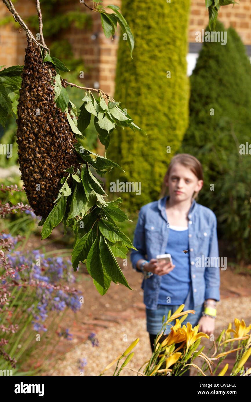 Bee swarm hi-res stock photography and images - Alamy