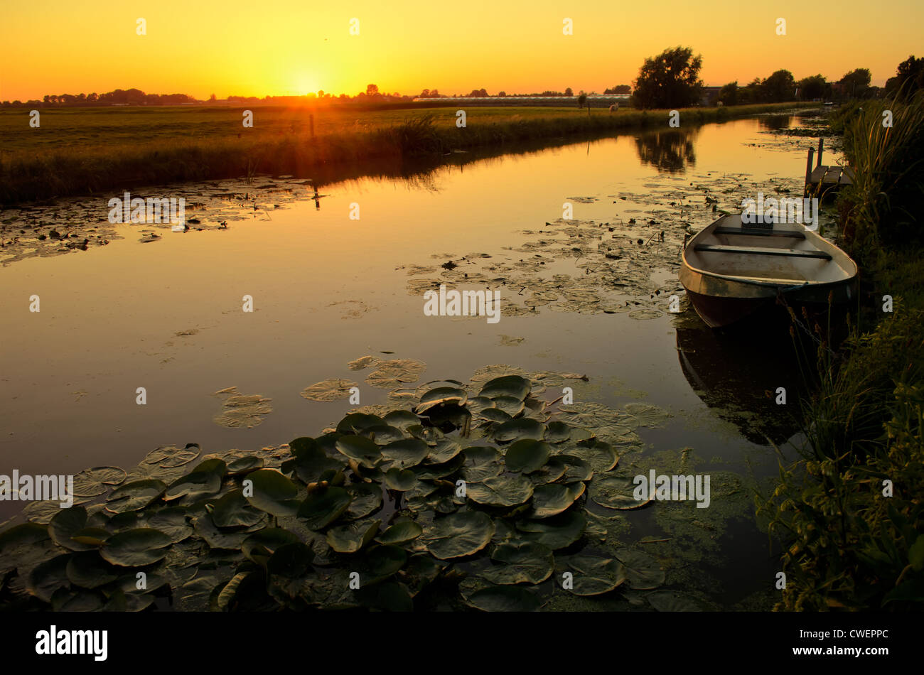 Holland landscape nature hi-res stock photography and images - Alamy